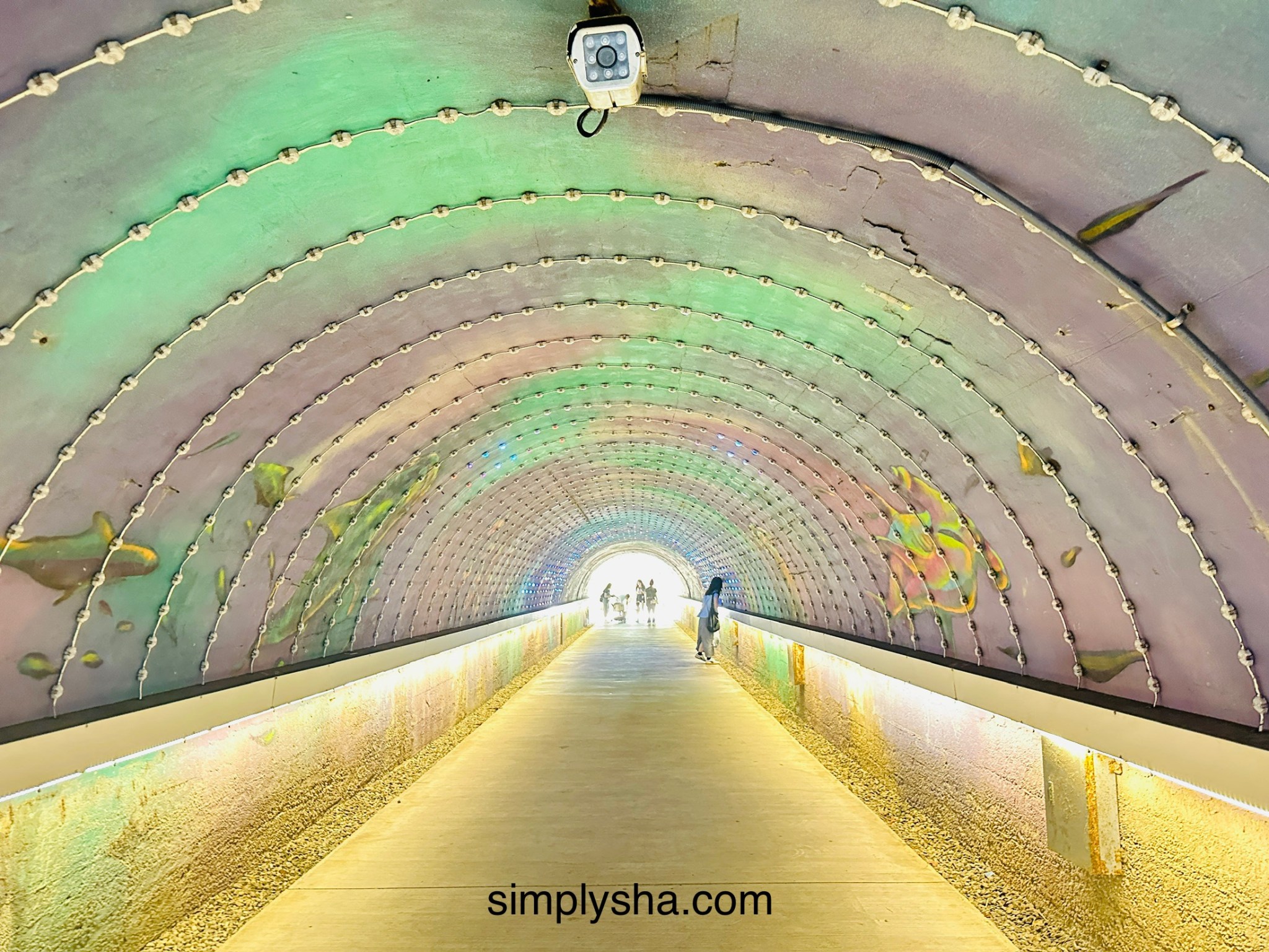 Top Things to Do in Kaohsiung: A Complete Travel Guide – Simply Sha